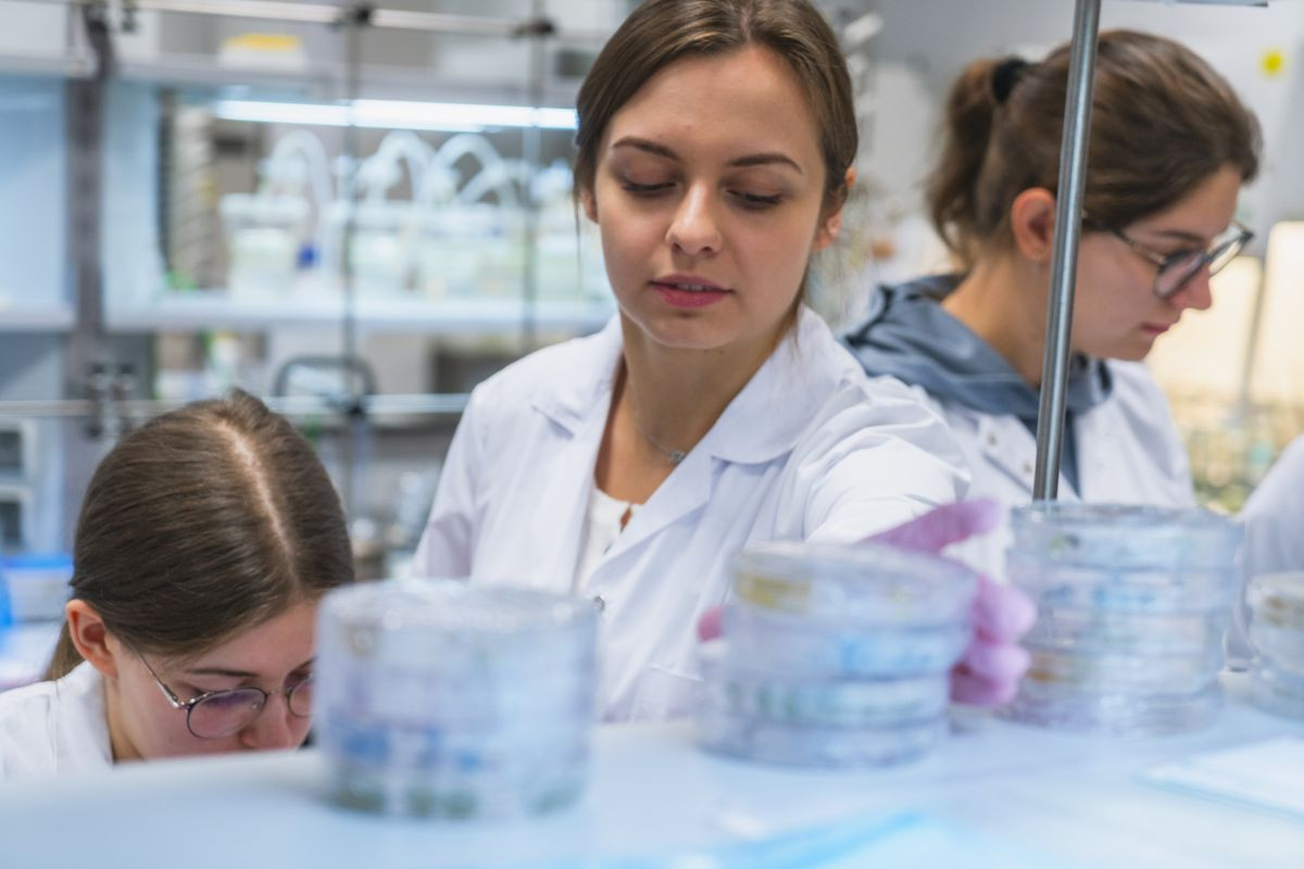 Nauka przez eksperymentowanie | Uniwersytet Medyczny im. Piastów Śląskich we Wrocławiu